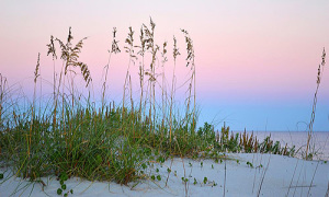 2014 Bald Head Island Photography Workshop Results | David Blevins ...